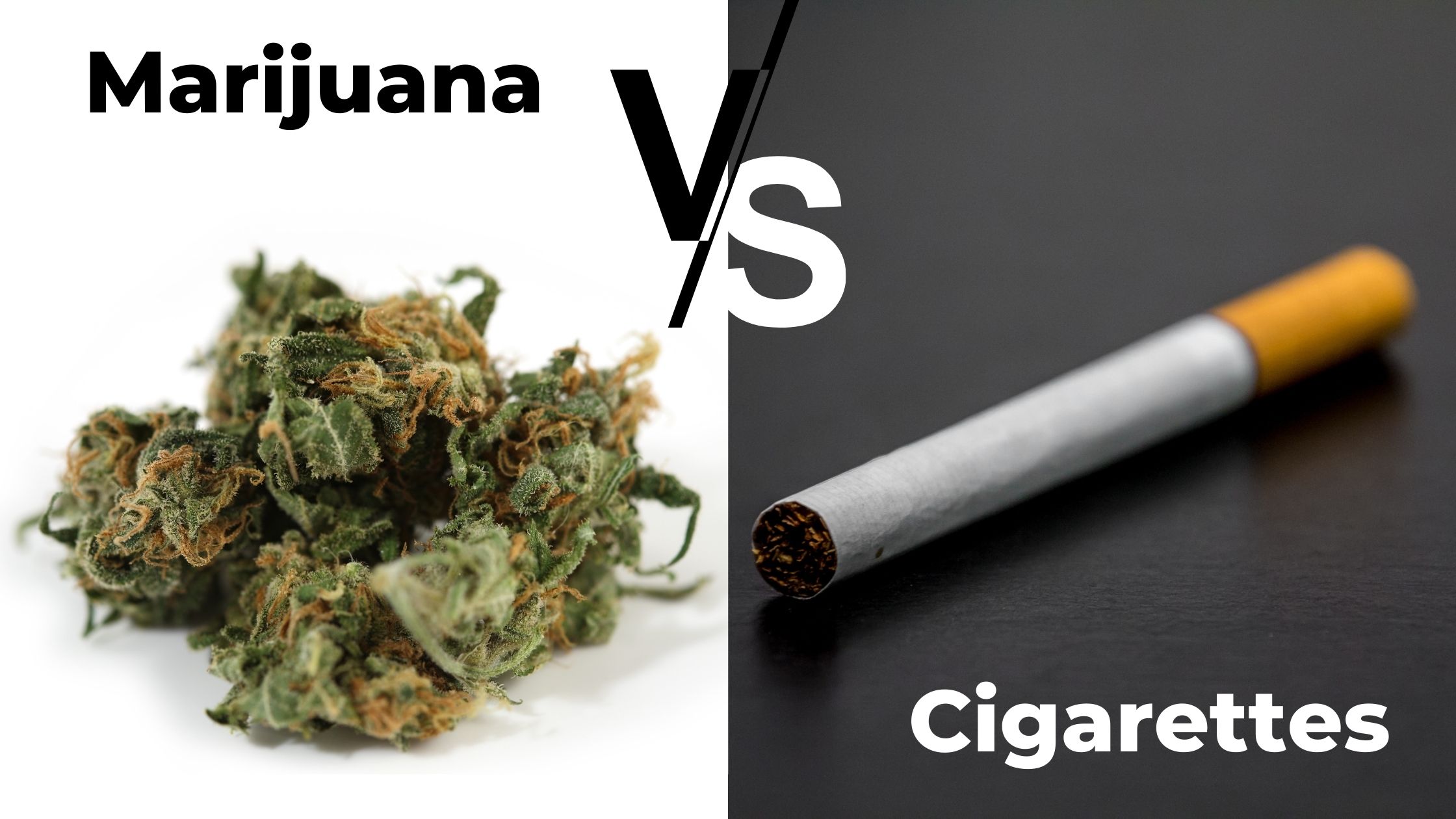 Maconha Vs Cigarro Close Up Of Females Hands Holding Marijuana Joint,
